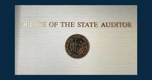 Explaining the importance of the State Auditor - TRC Nexus